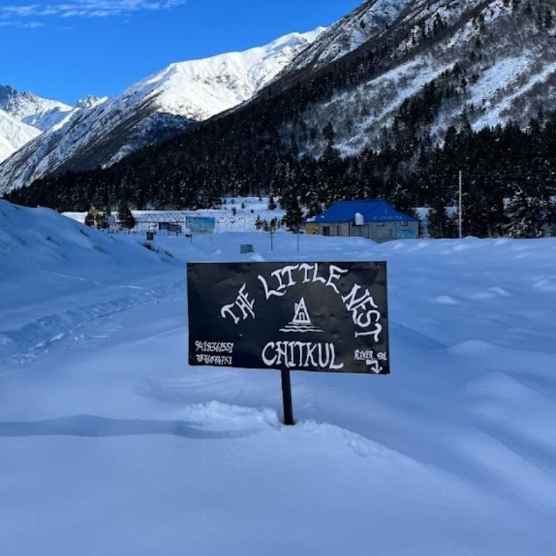 The Little Nest Chitkul | Best Homestay and Wooden Cottages
